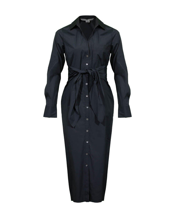Janelle Shirtdress – BLU'S